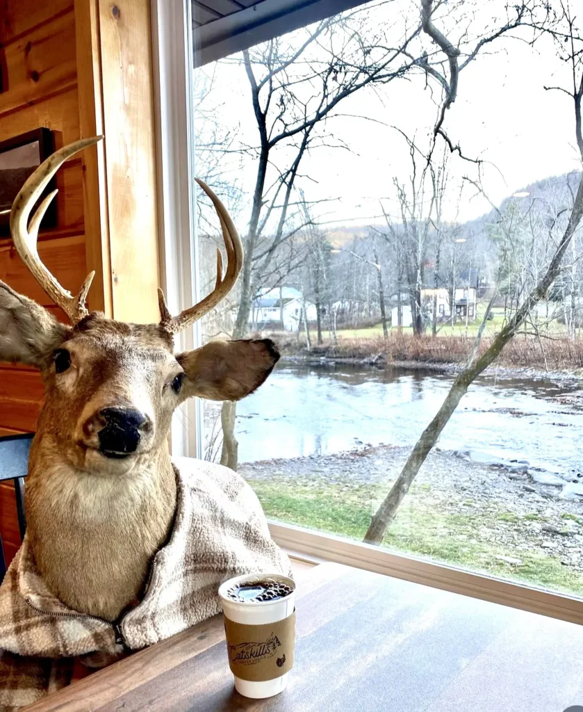 SCVA Office, Author at Sullivan Catskills - Page 10 of 15